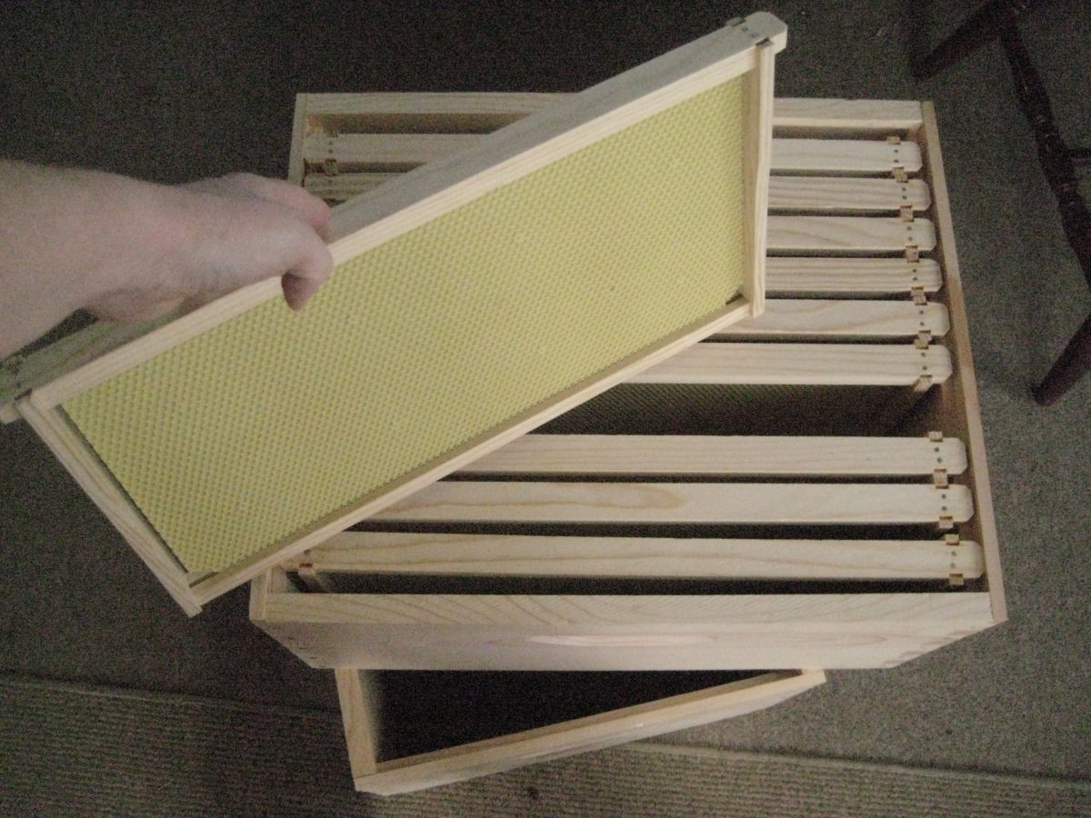 The Beginnings of Our Beekeeping Journey – WiggleCulture